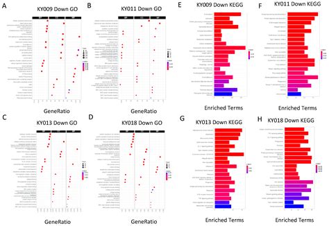 Comparative Rna Seq Analysis Revealed Tissue Specific Splicing Variations During The Generation