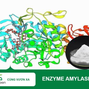 Mua Bán Nguyên Liệu Enzyme Chất Lượng đạt Chuẩn Biogreen