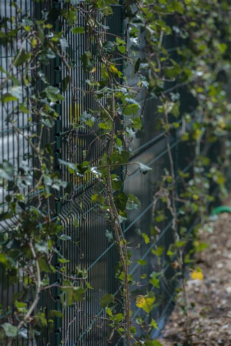 Aménagement Des Abords De La Chaufferie Biomasse Edf De Palaiseau