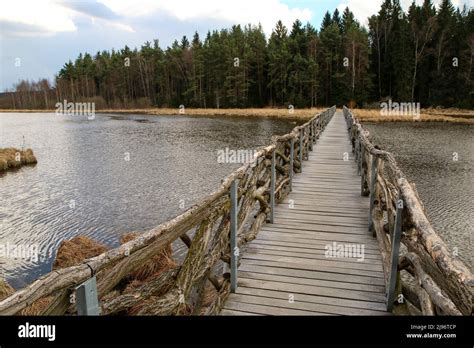 The Protected Area In Šumava National Park In Czech Republic By The Pond Olšina With Its Wooden