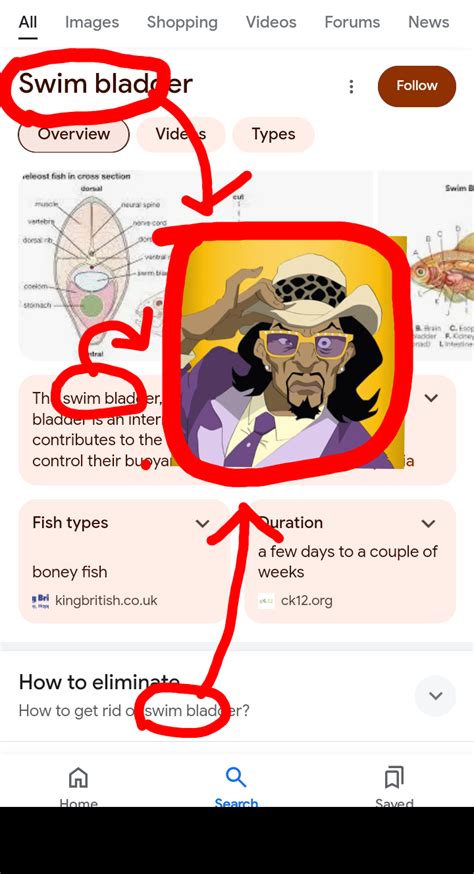 No N Im A Pimp Named Swim Blad R Namesoundalikes