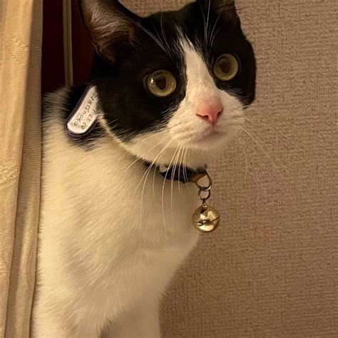 Eri Eriyo33 Threads Say More