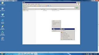 Storage Area Networks NetApp LUN Setup Using Filerview