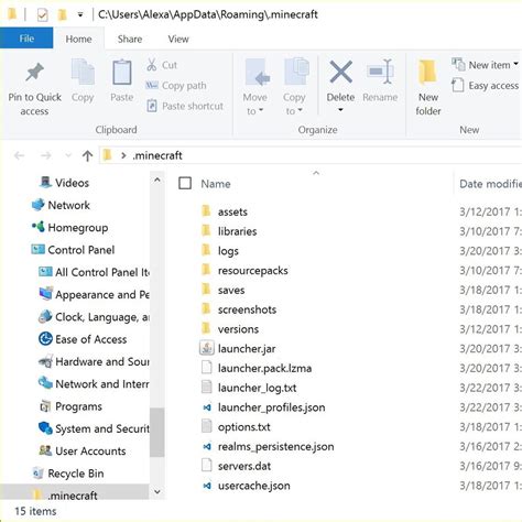 How To Access The Minecraft Directory B C Guides