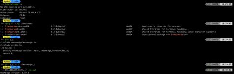 Build Wasmedge Sys Error From Scratch Issue Wasmedge Wasmedge Github