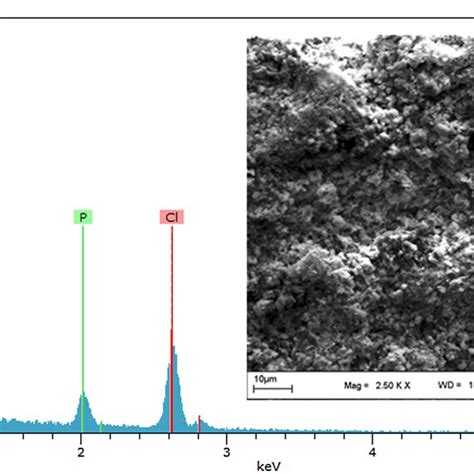 Pdf Structural And Magnetic Properties Of Cobalt Ii Complexes Of Triphenylphosphine