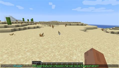 Come Creare Un NPC Su Minecraft Salvatore Aranzulla