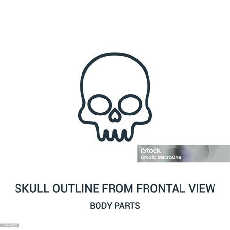 신체 부위 컬렉션에서 정면 보기 아이콘 벡터에서 두개골 윤곽 정면 보기 개요 아이콘 벡터 일러스트 레이 션에서 얇은 라인 두개골 개요 건강관리와 의술에 대한 스톡 벡터 아트