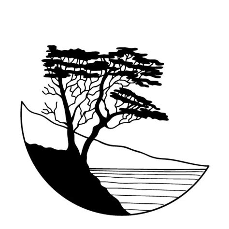 Cypress Tree Drawing At GetDrawings Free Download