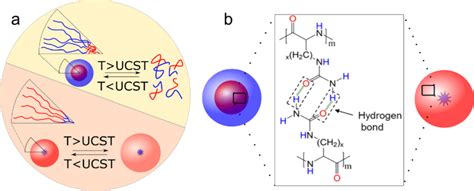 Ucst Block Copolymer Micelles Bcms A Top And Star Polymers With