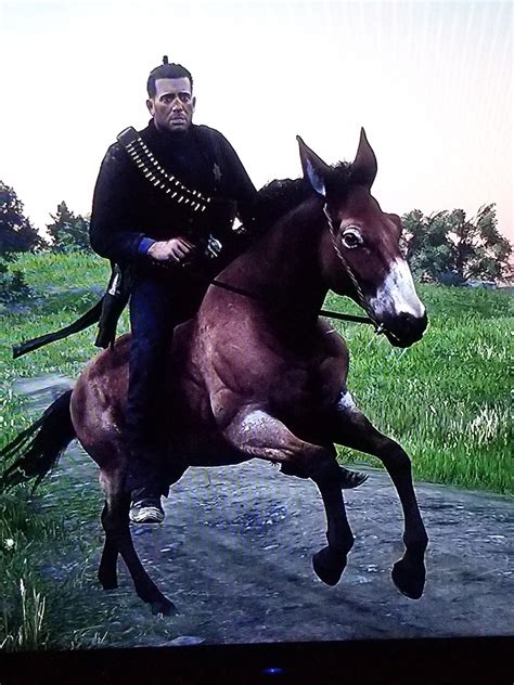 Grand Theft Mule Rrdr2