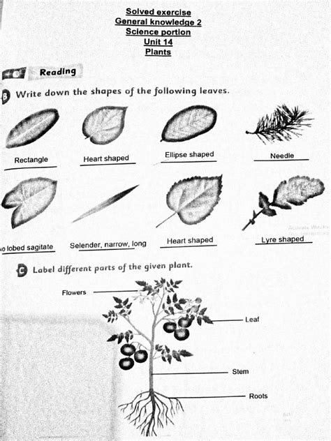 Solution For Class Two 07 Jun 2024 09 18 37 Pdf