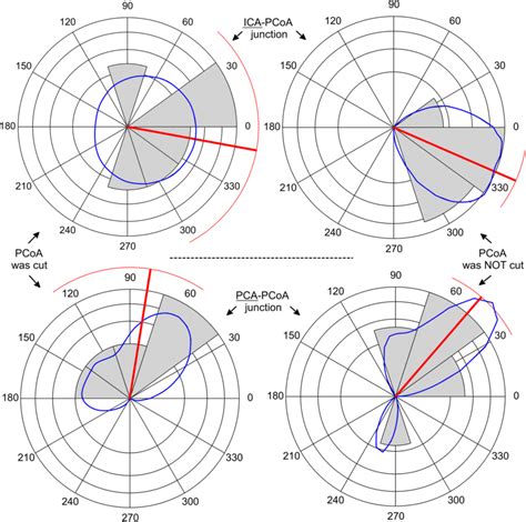 Polar Histograms Rose Plot Of The Directions We See Proximal Upper Download Scientific