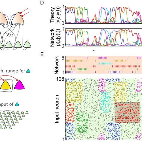 Neural Sheet Model With Local Inhibition For Distributed Bayesian Download Scientific Diagram
