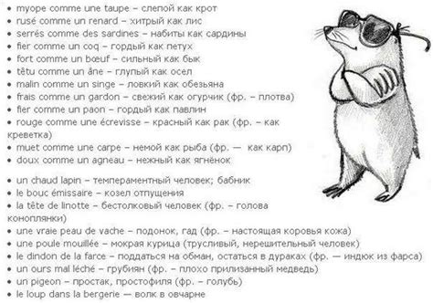 Пин от пользователя Yana Semour на доске Французский язык Грамматика французского языка