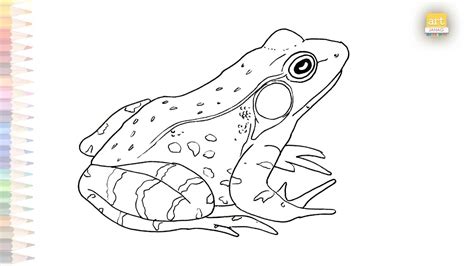 Frog Drawing Outline