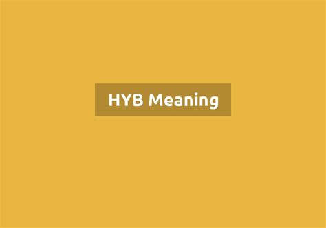 Hyb Meaning