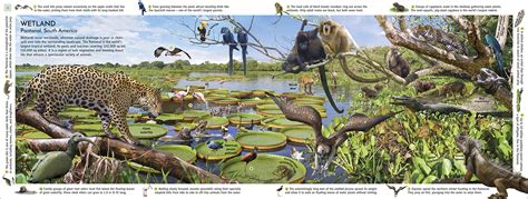 Buy Habitats Of The World A Breathtaking Visual Journey Through Earth