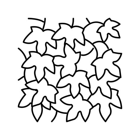 Hedera Helix Line Icon Vector Illustration 19543236 Vector Art At Vecteezy