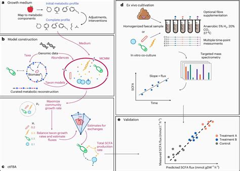A New Path Toward Microbiome Informed Precision Nutrition
