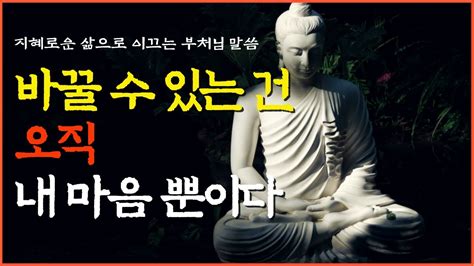 잠 들기 전 마음의 안정을 돕는 부처님 말씀┃인간관계┃자기계발┃지혜┃명언 Youtube