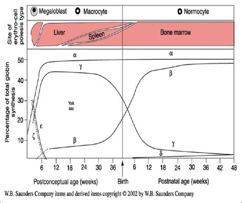 Guidelines For Screening Diagnosis And Management Of