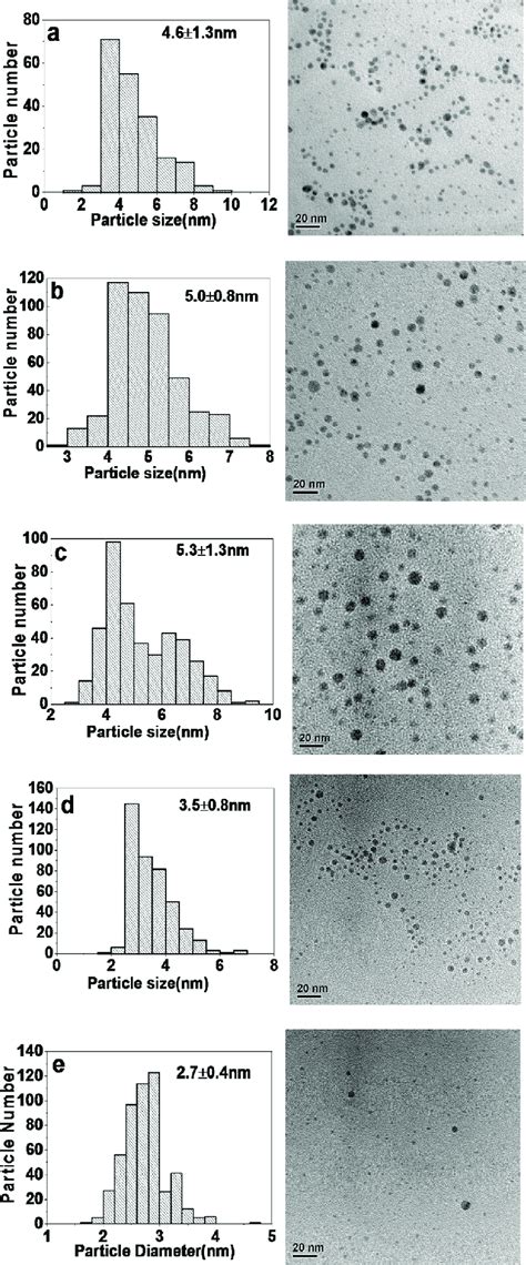 Tem Images And Corresponding Size Distribution Of The Agnps Synthesized Download Scientific