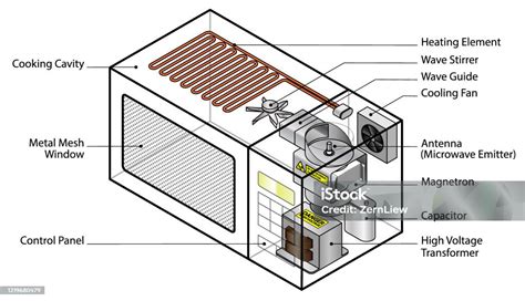 Vetores De Diagrama De Um Microondas De Convecção E Mais Imagens De