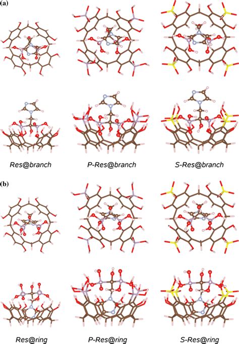 Optimized Structures Of Host Guest Complexes Formed By Free Download Scientific Diagram
