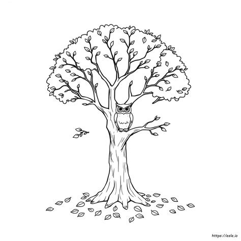 Agere Színező Oldalak