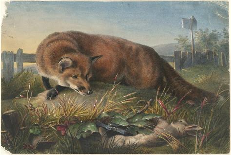 Not Caught Yet Free Photo Rawpixel