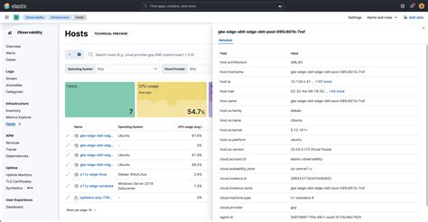 Infrastructure Ui Show Metadata For A Single Host On The Host Ui