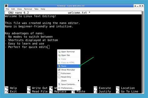 Edit Text Files In Linux With Vim And Nano Comptia Linux Labex