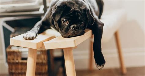 implementing a viewmodel in our app with mvvm and di in android day 08 by abou zuhayr medium