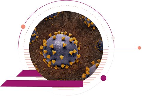 Infectious Disease Modelling Costello Medical