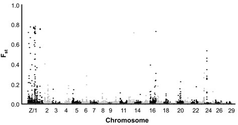 Manhattan Plot Illustrating Locus Specific Fst Values Differentiating Download Scientific