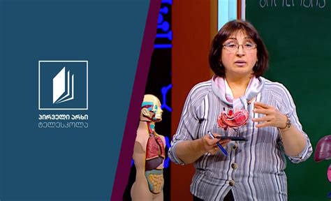 ბიოლოგია Viii კლასი საჭმლის მომნელებელ ორგანოთა სისტემის ფუნქციები ტელესკოლა 1tv