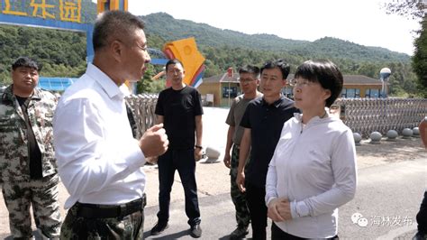 市委书记魏红梅深入二道河镇、柴河林业局有限公司调研指导灾后重建工作防汛景区农业