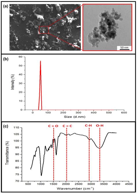 A Sem And Tem B Particle Size Distribution And C Ft Ir Of Download Scientific Diagram