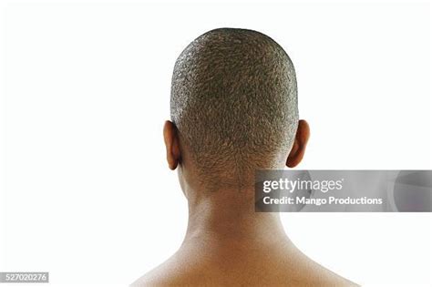 Head Posterior View Photos And Premium High Res Pictures Getty Images