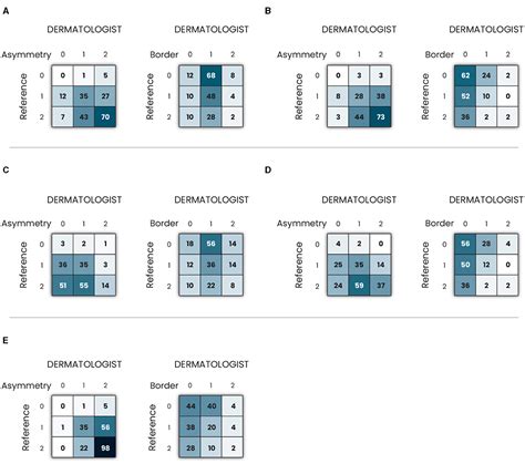 Frontiers Explainability Agreement Between Dermatologists And Five Visual Explanations