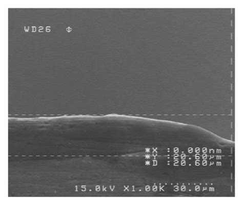 A Sem Micrograph Of Cross Section Of Sample 2 B Sem Micrograph Of