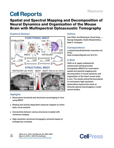 Pdf Spatial And Spectral Mapping And Decomposition Of Neural Dynamics