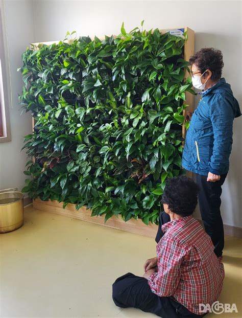 노인일자리를 활용한 수직정원 설치 각광