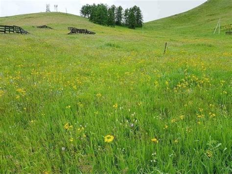 ЗУСЛАН ЛАГЕРИЙН ГАЗАР БАЙШИН АВНА ЗАРНА ТҮРЭЭСЛҮҮЛНЭ Facebook