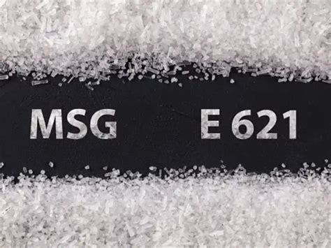 Msg Vs Salt The Ultimate Comparison Guide