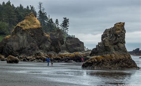 Ruby Beach Olympic National Park Wa
