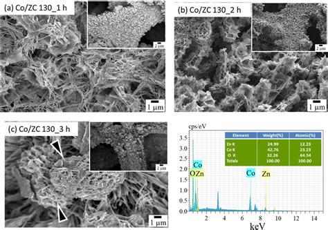 Sem Micrograph Of The Co3o4znco2o4 Coreshell Nanostructure