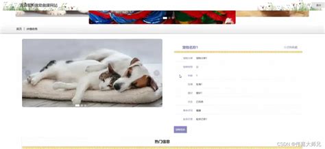 宠物救助系统基于springboot和vue的流浪猫狗救助救援系统设计与实现源码数据库文档 阿里云开发者社区