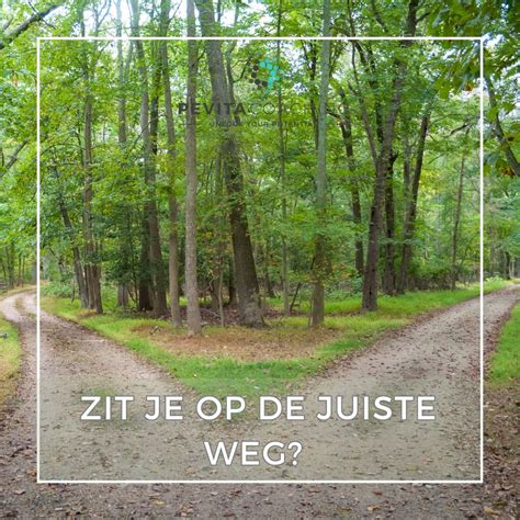 Pevita Coaching Op Linkedin Loopbaanbegeleiding Vdab Loopbaancheques Berendrecht